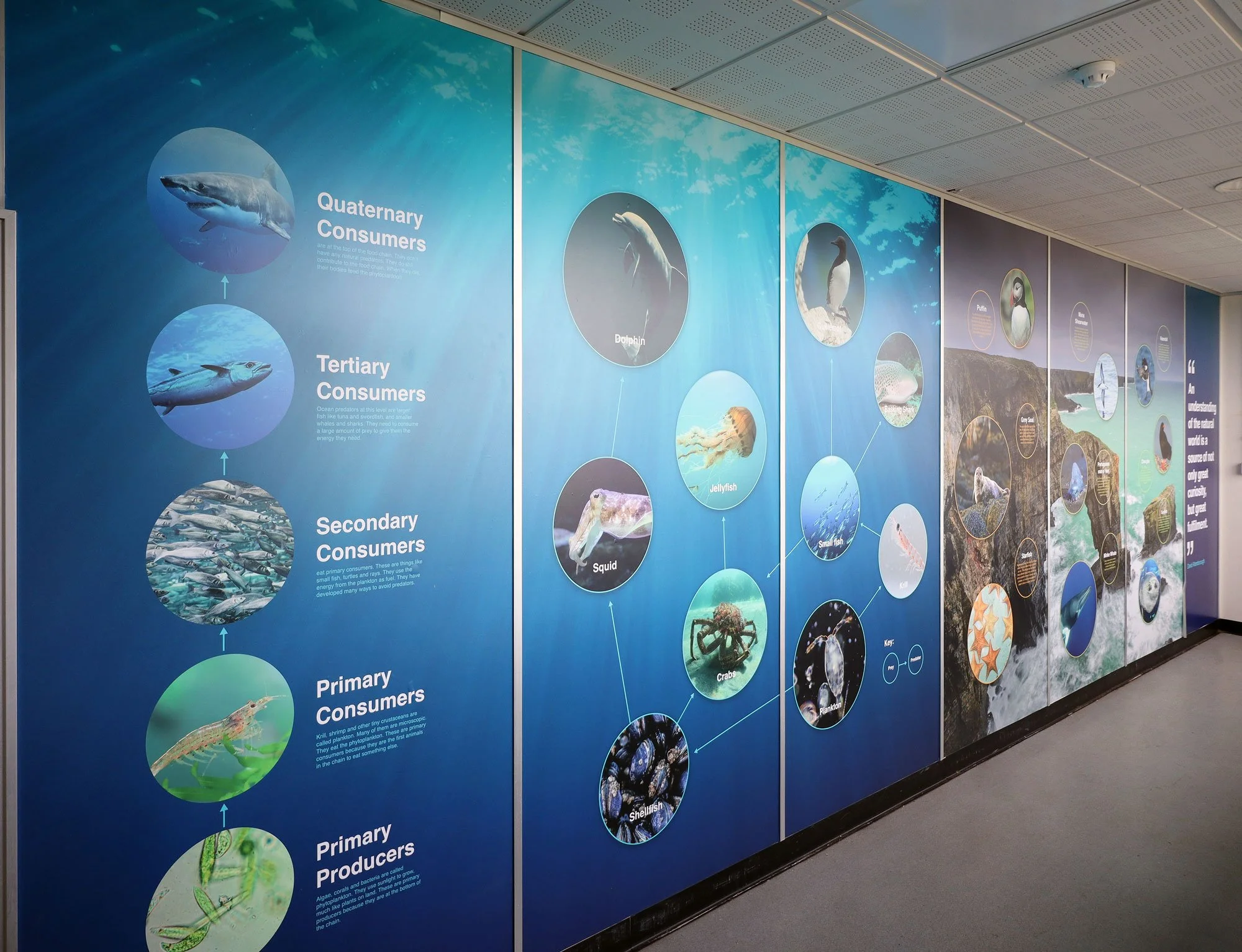 Why You Should Invest in Graphics at your School - The Media Collective