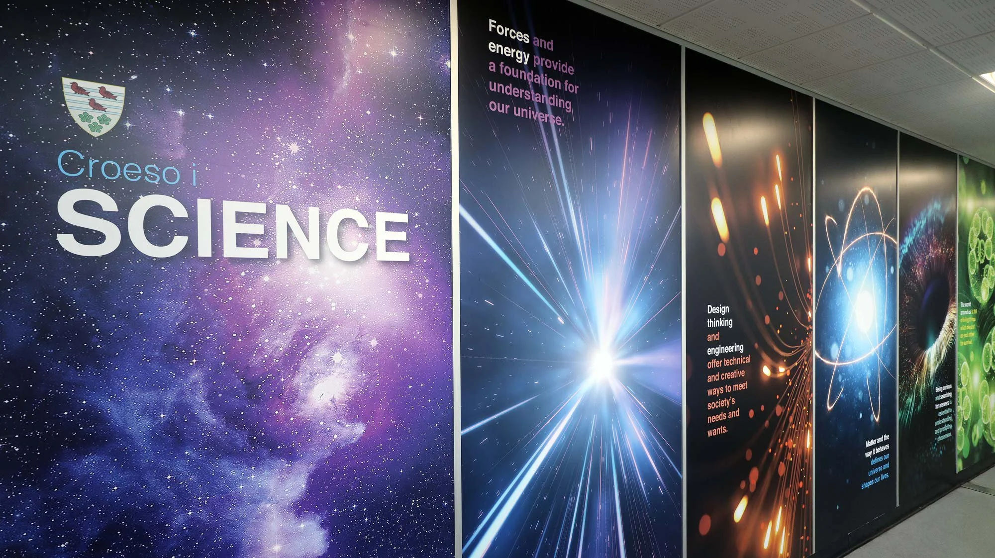 The Media Collective