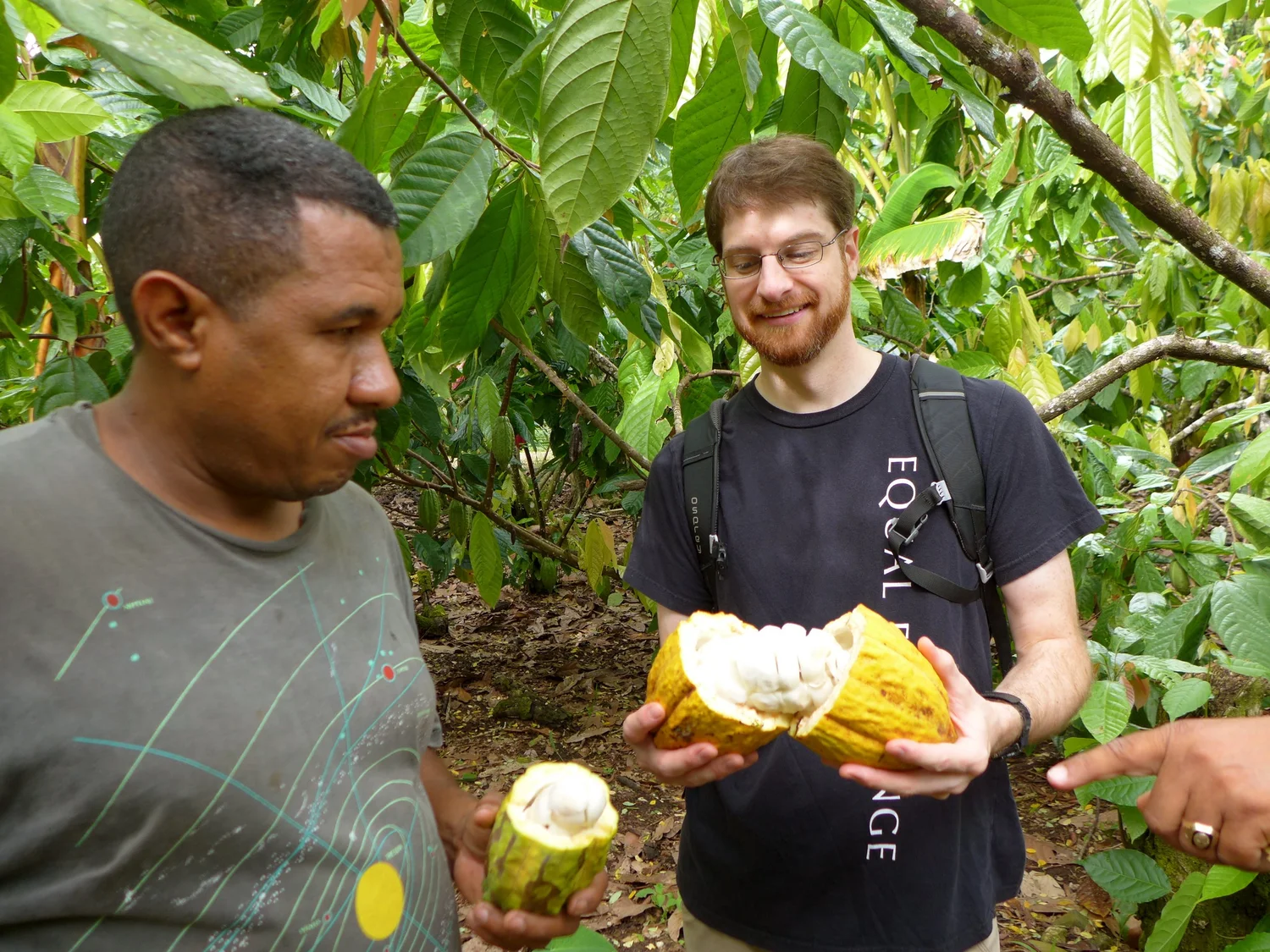 Chocolate: A Bittersweet Luxury — Equal Exchange Resource Center