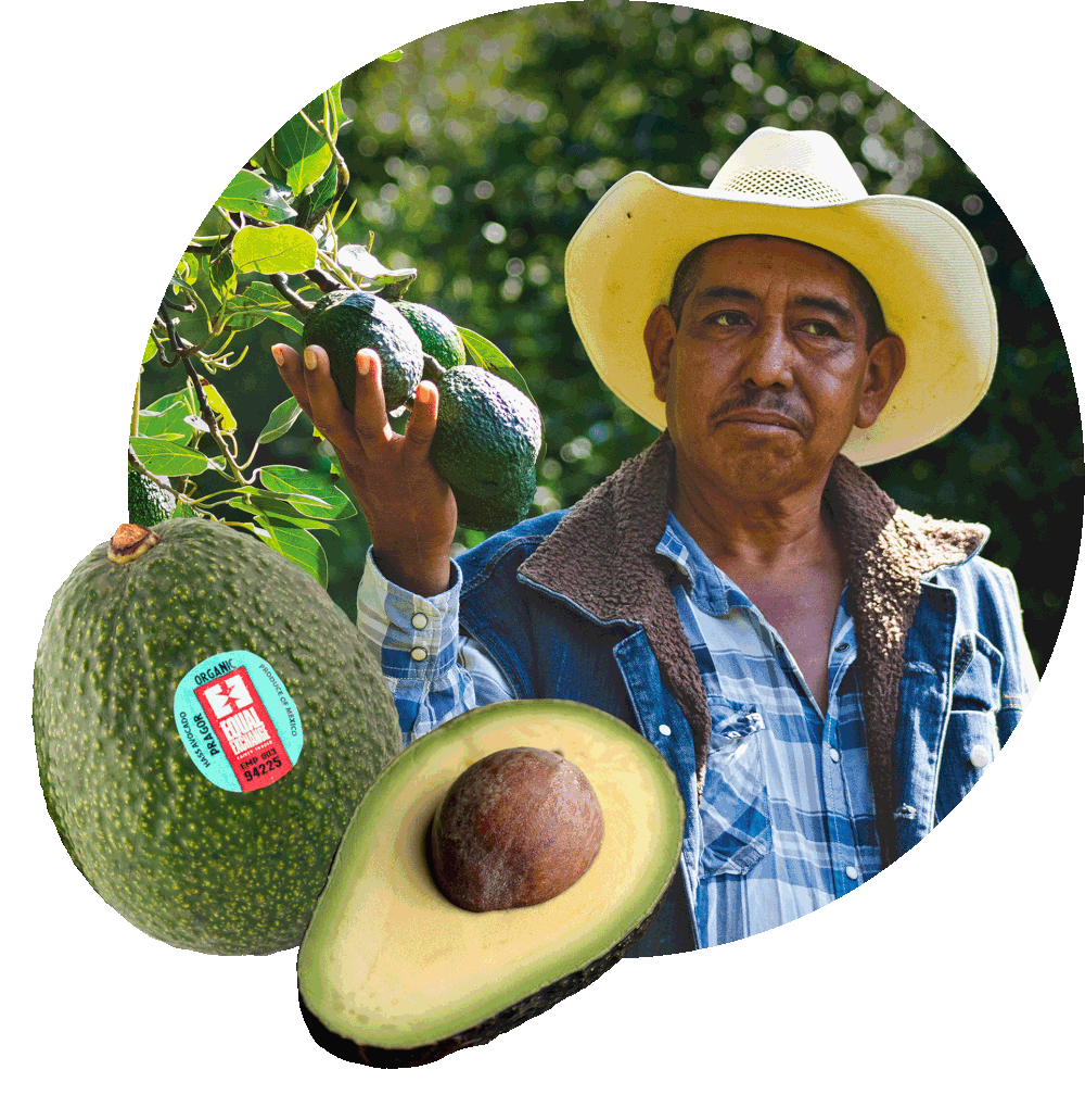About Equal Exchange Fresh Produce — Equal Exchange Resource Center