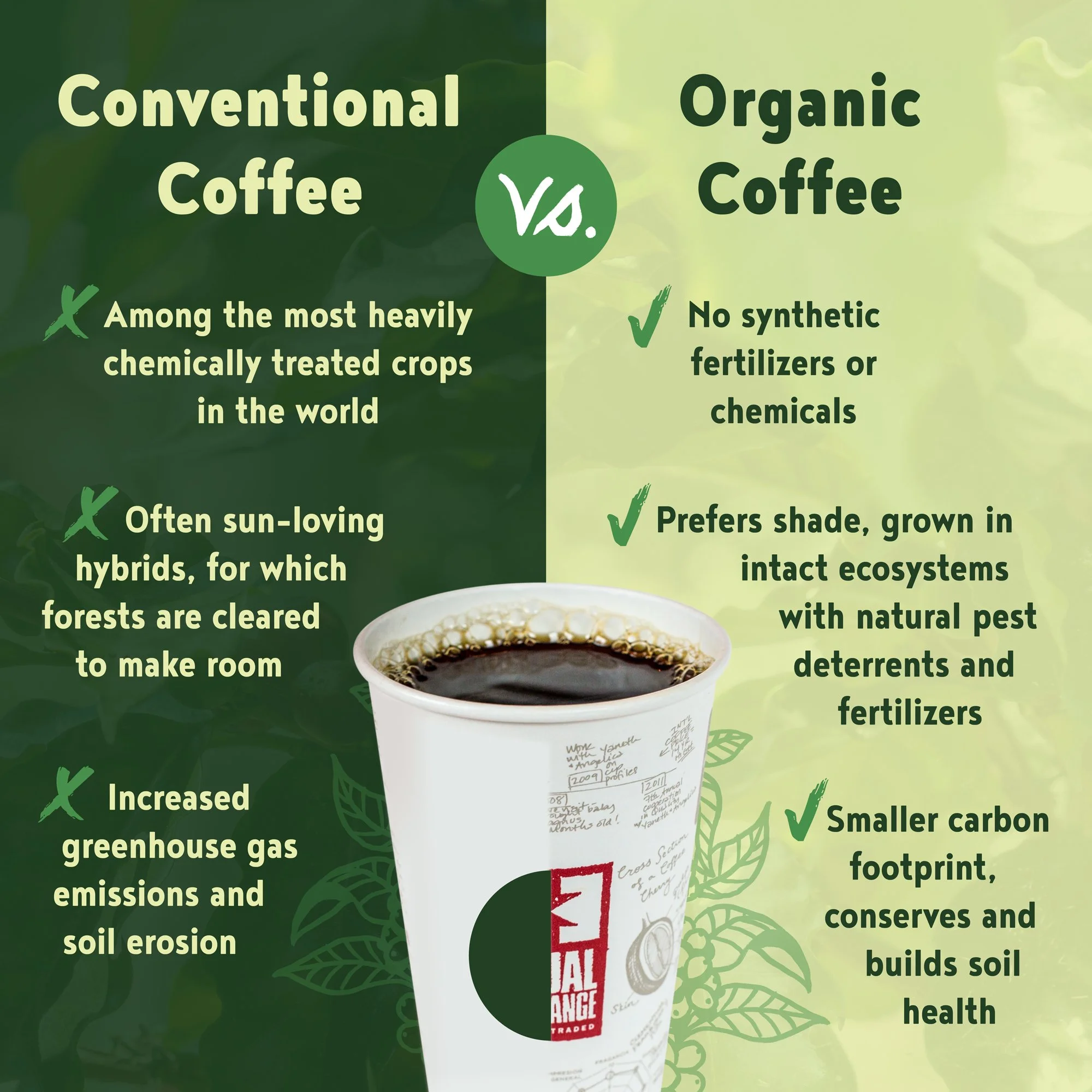 Organic Vs Conventional Coffee Equal Exchange Resource Center Organic Vs Conventional Coffee Equal Exchange Resource Center