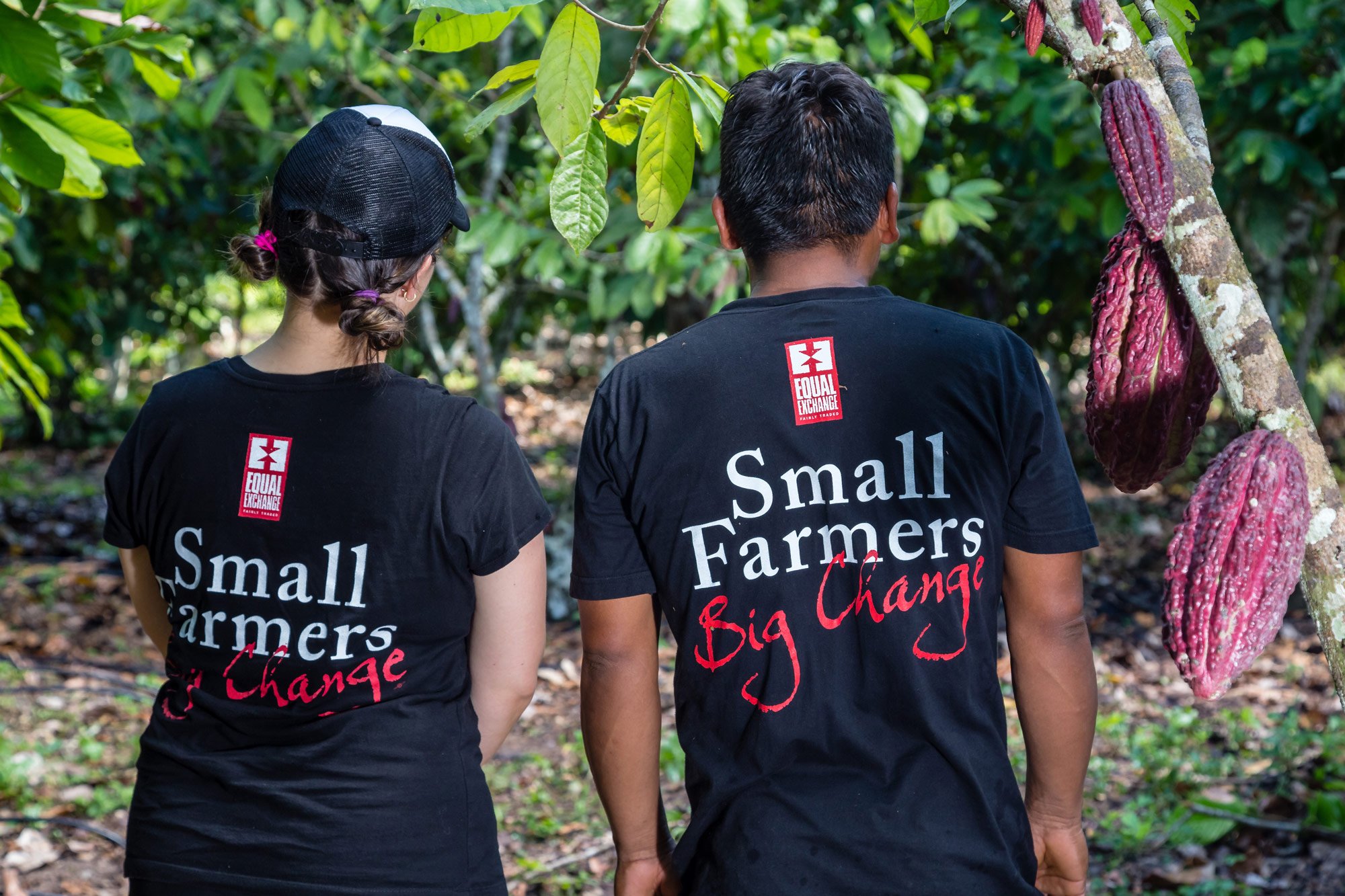 Downloads — Equal Exchange Resource Center