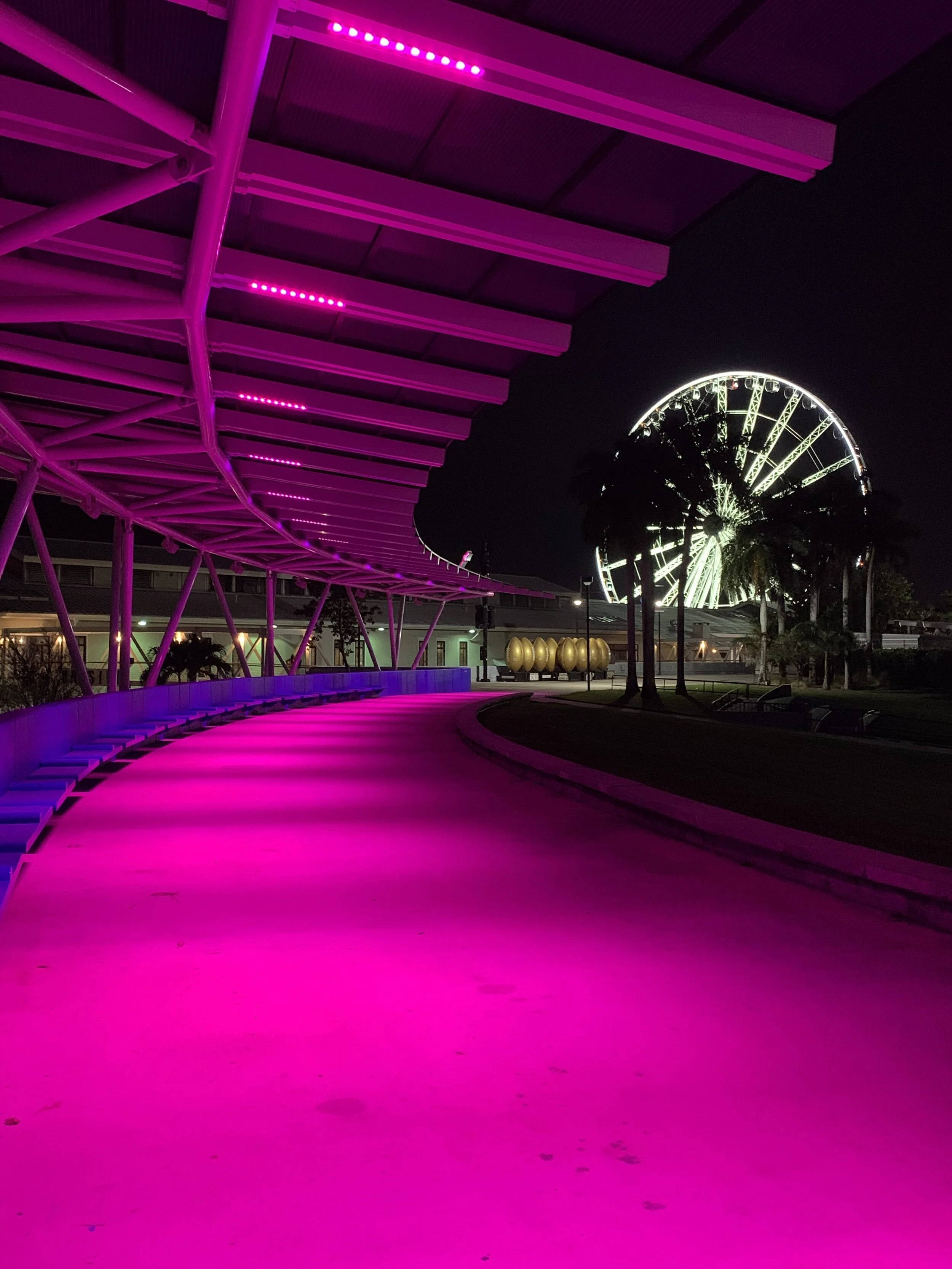 Bayfront Amphitheatre — Infinity Architectural Lighting