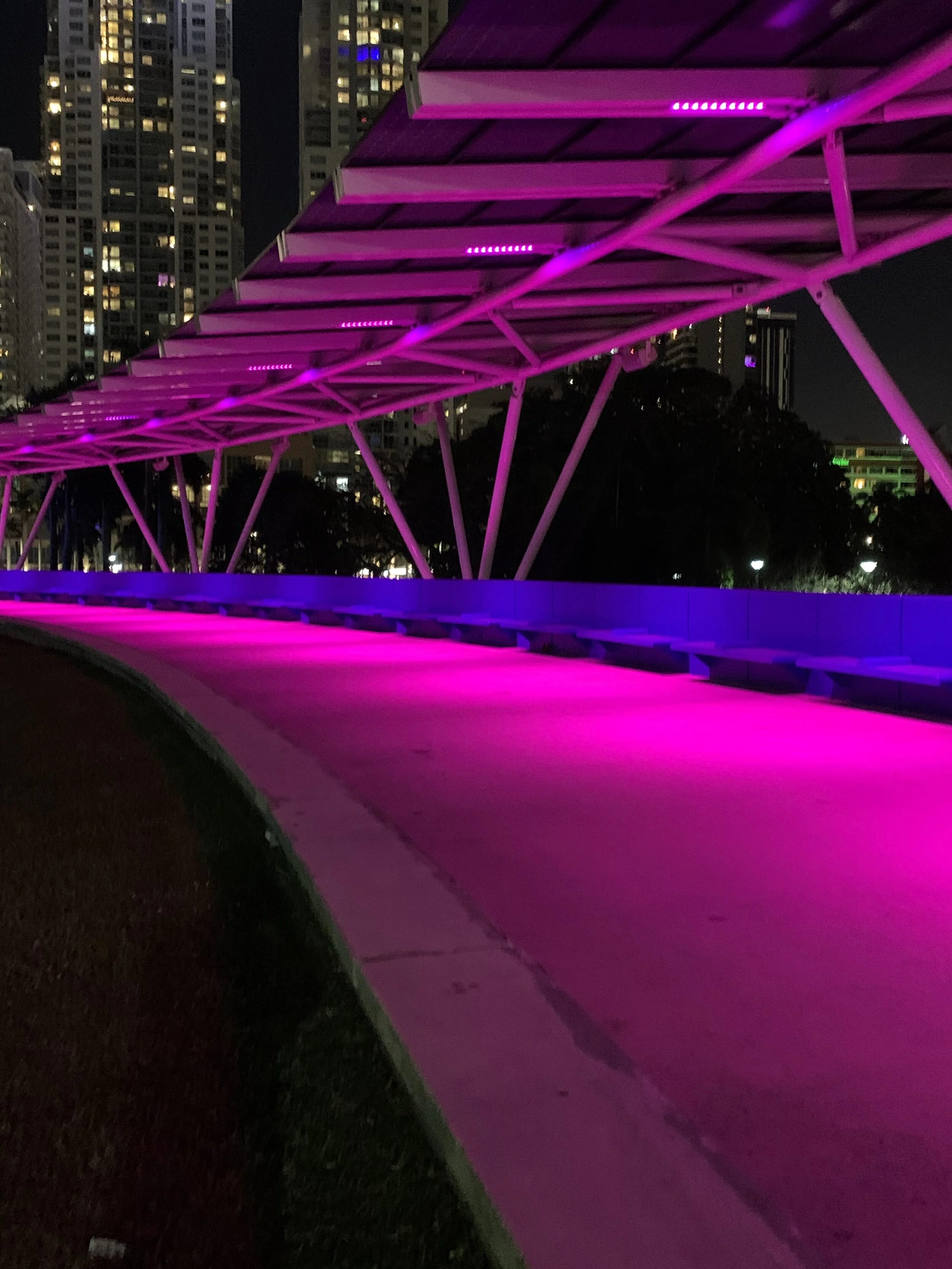 Bayfront Amphitheatre — Infinity Architectural Lighting