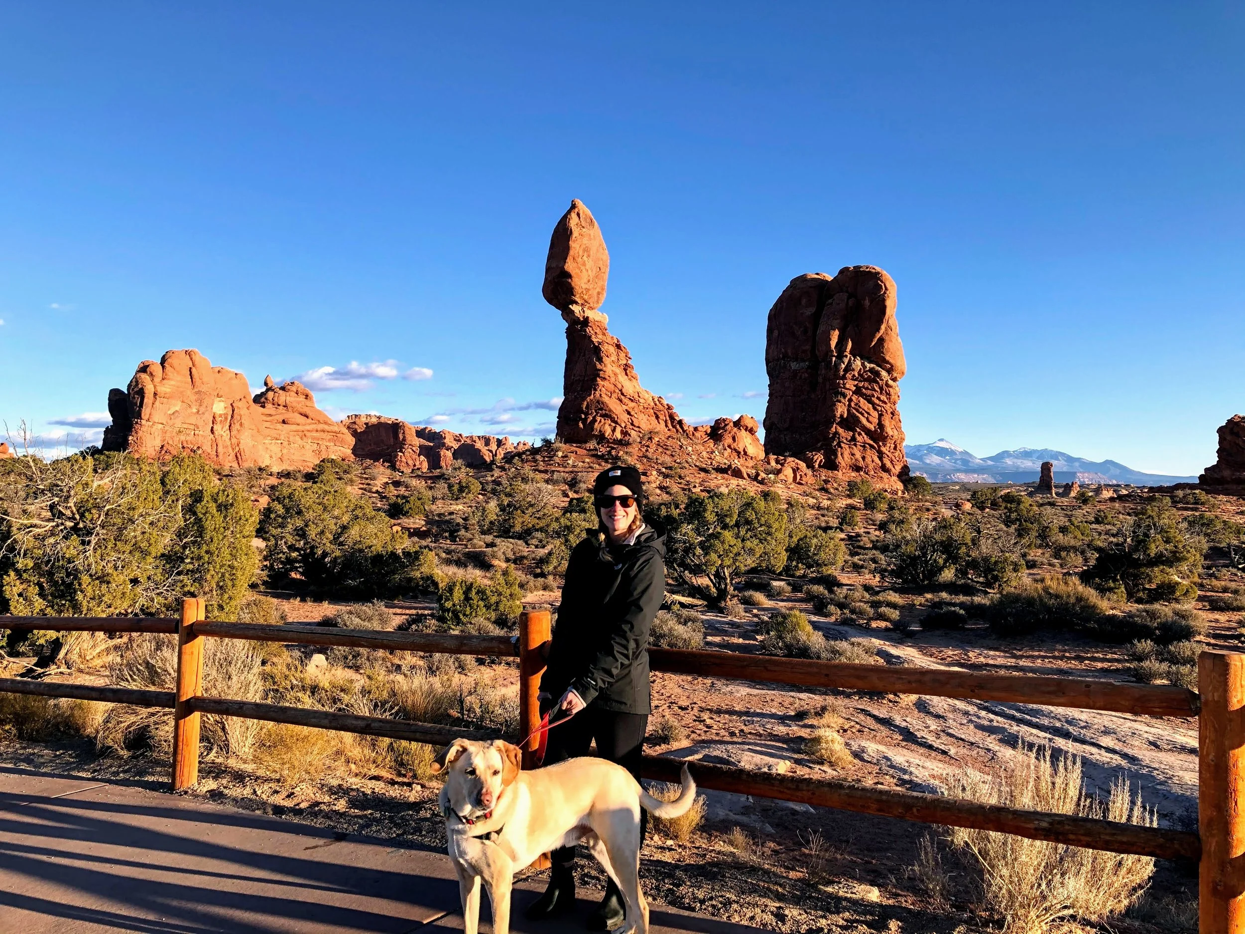 Working With Us — Amplifiedss