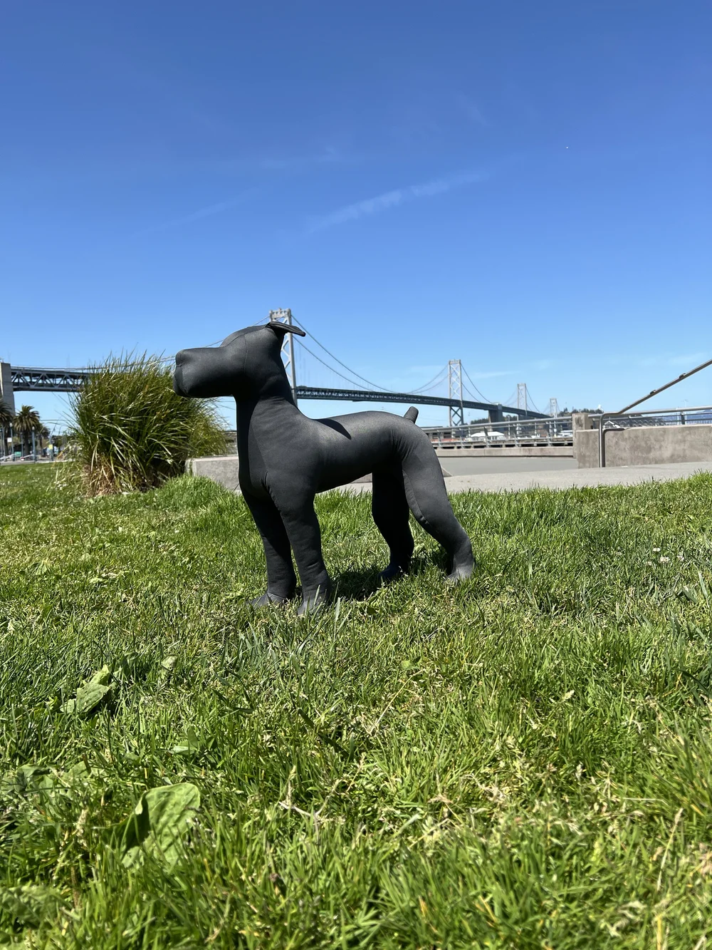 Online ordering now available — Tippy Dog Mannequins