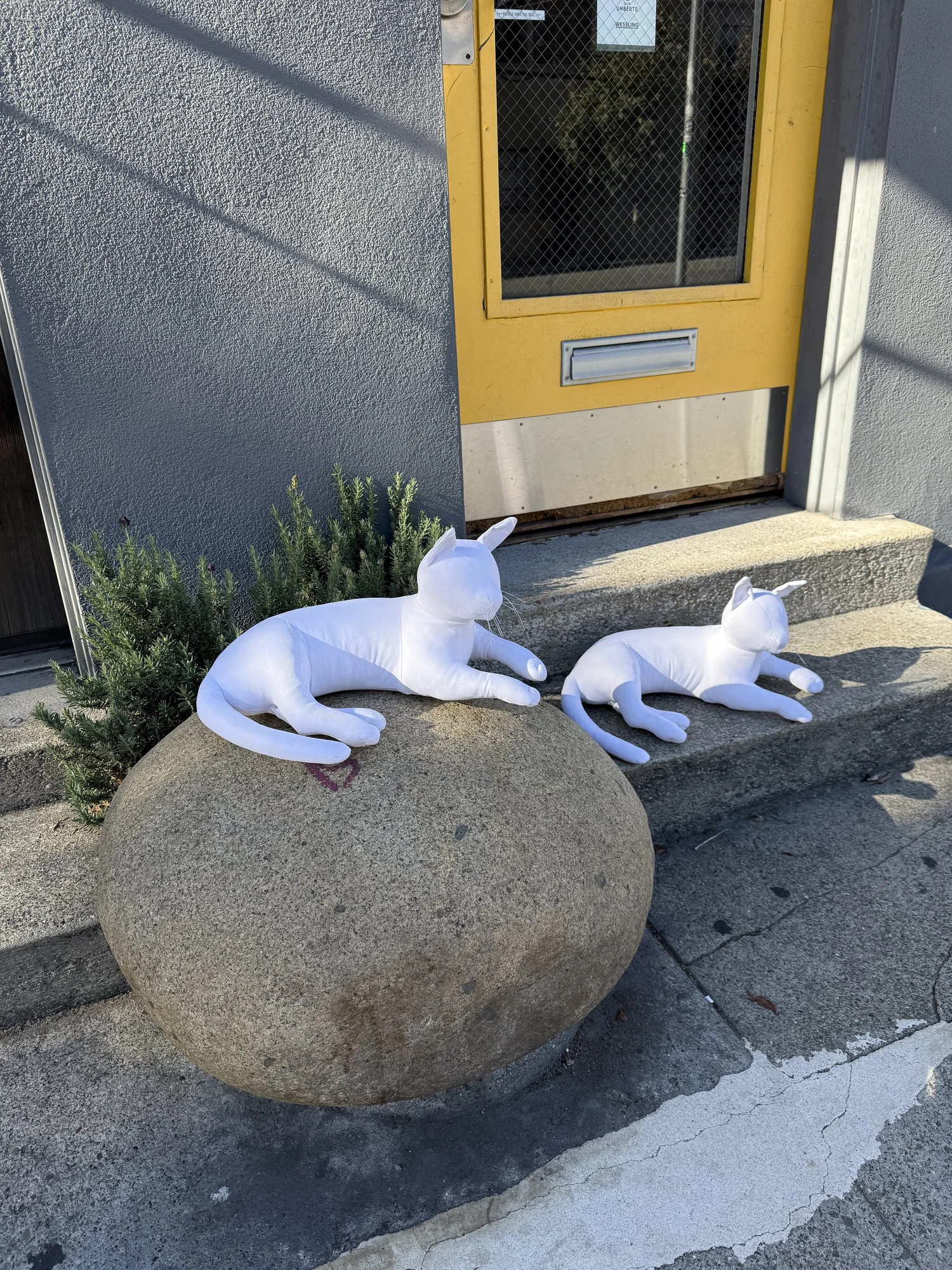 Online ordering now available — Tippy Dog Mannequins