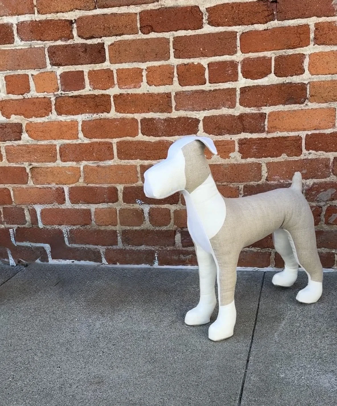 Online ordering now available — Tippy Dog Mannequins