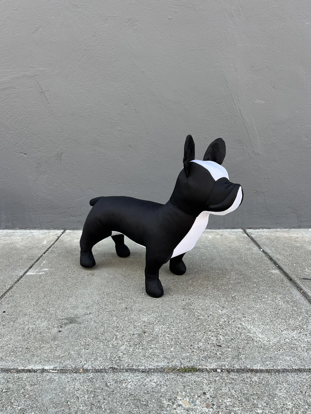 Online ordering now available — Tippy Dog Mannequins
