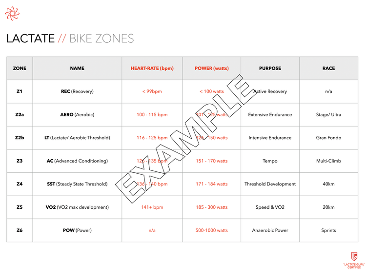 THE ULTIMATE GUIDE TO ZONE 2 TRAINING — Coach Gareth world-class ...