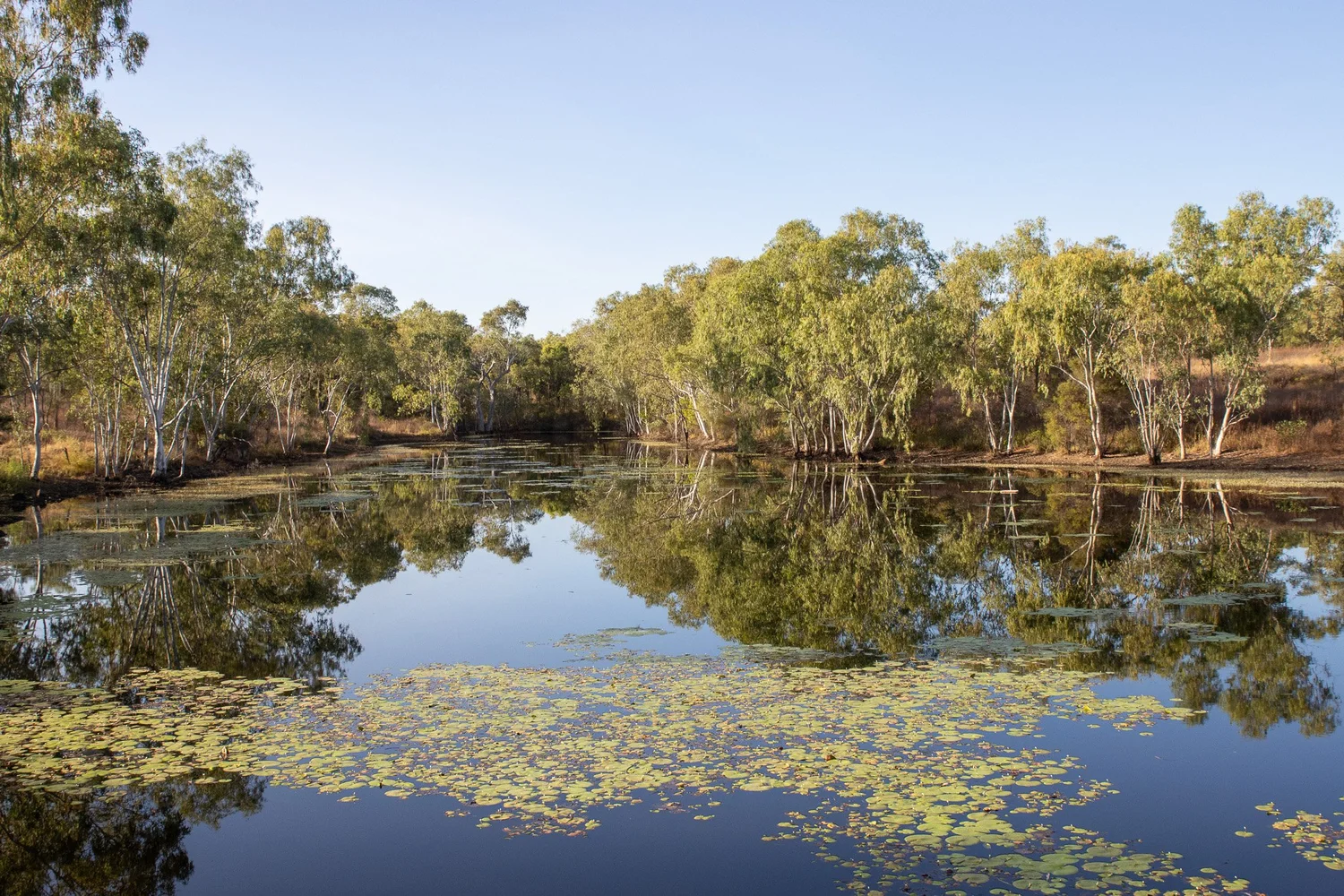 Cobbold Gorge near Forsyth — Kevin Explores