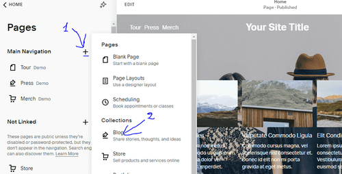 How to Build a Squarespace Food Blog in 2026?