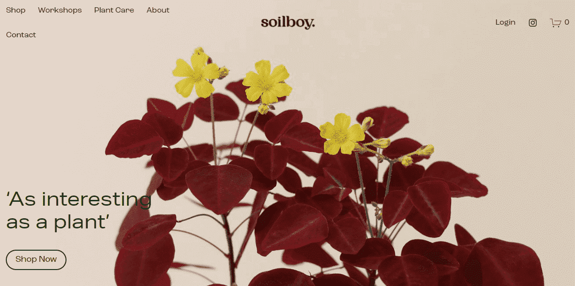 21 Best Squarespace Store Examples to Inspire You in 2025