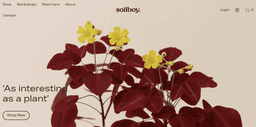 21 Best Squarespace Store Examples to Inspire You in 2025