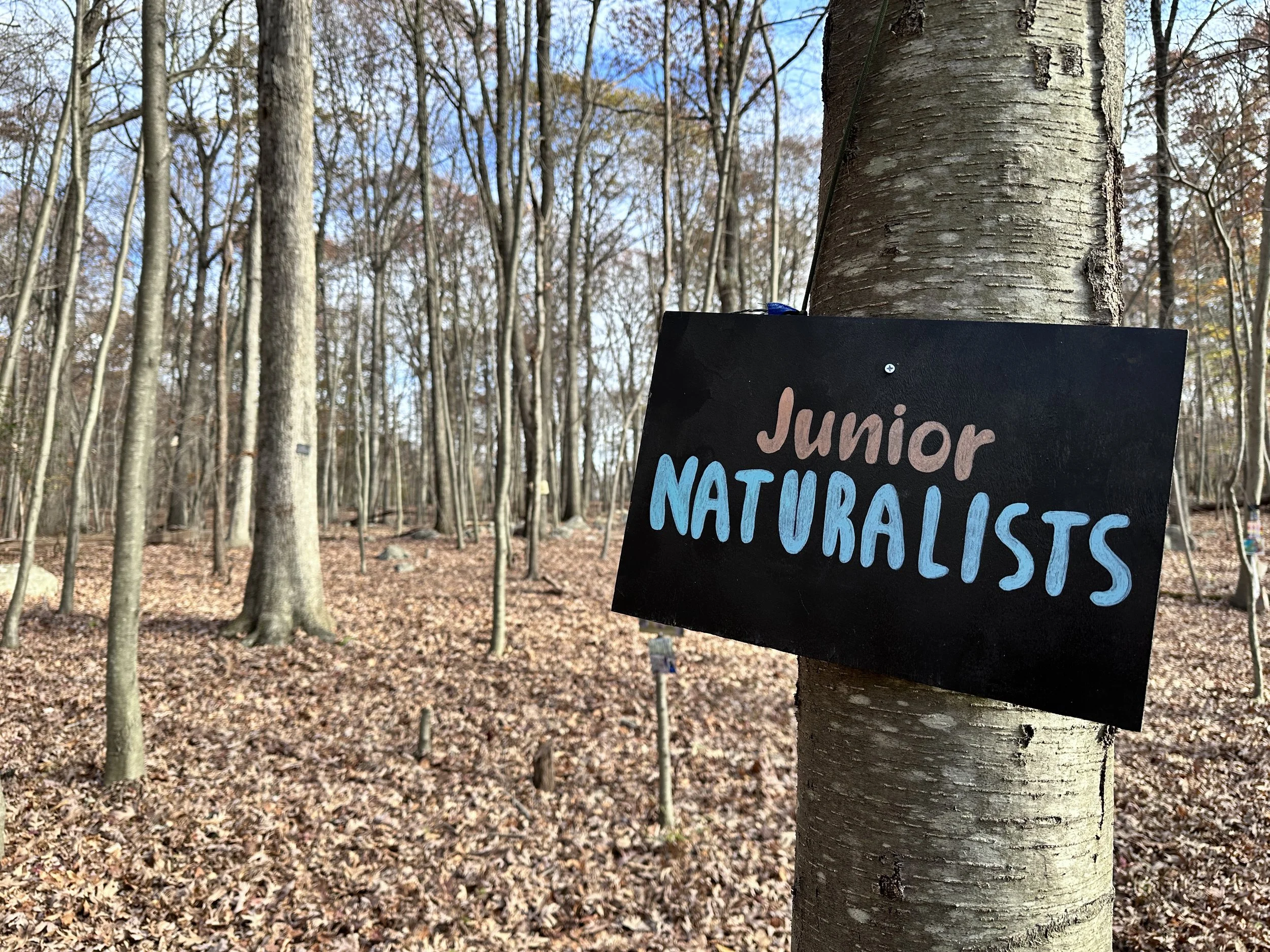 Junior Naturalist Program | Ages 7–11 | Sensory Garden & Play — Sensory ...