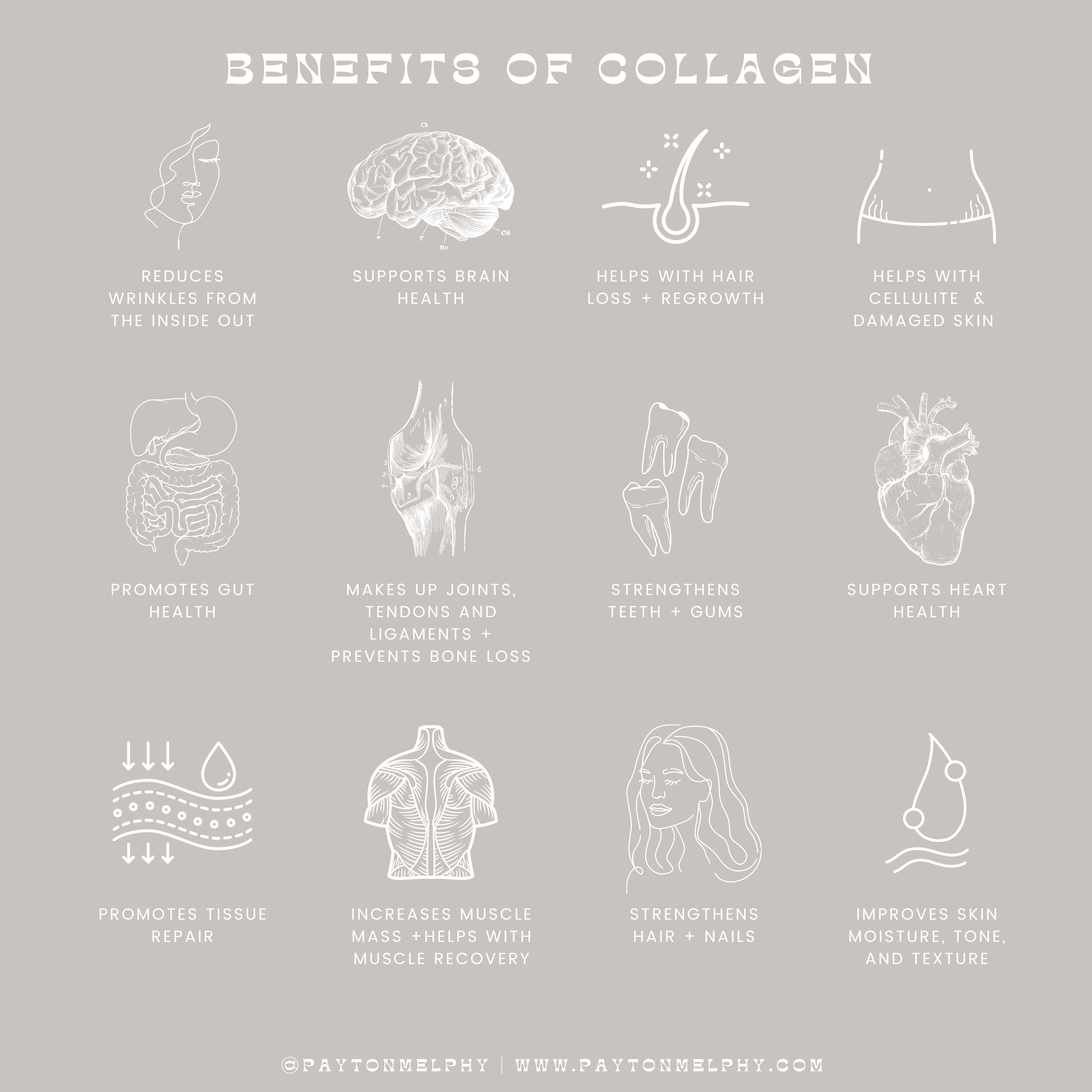COLLAGEN: what’s all the hype about? — B | by Payton