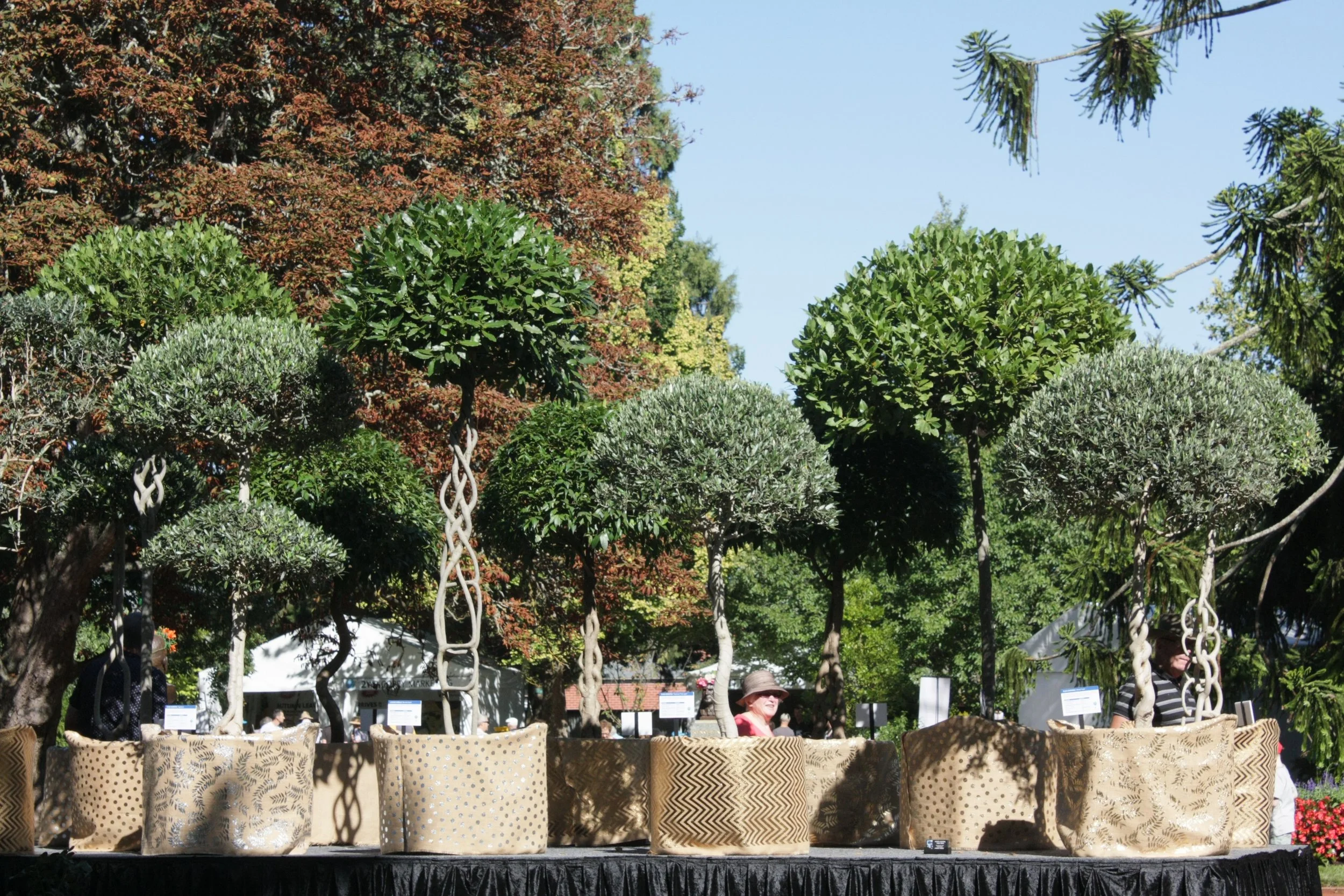 Arborsculpture — North Central Farm Trees