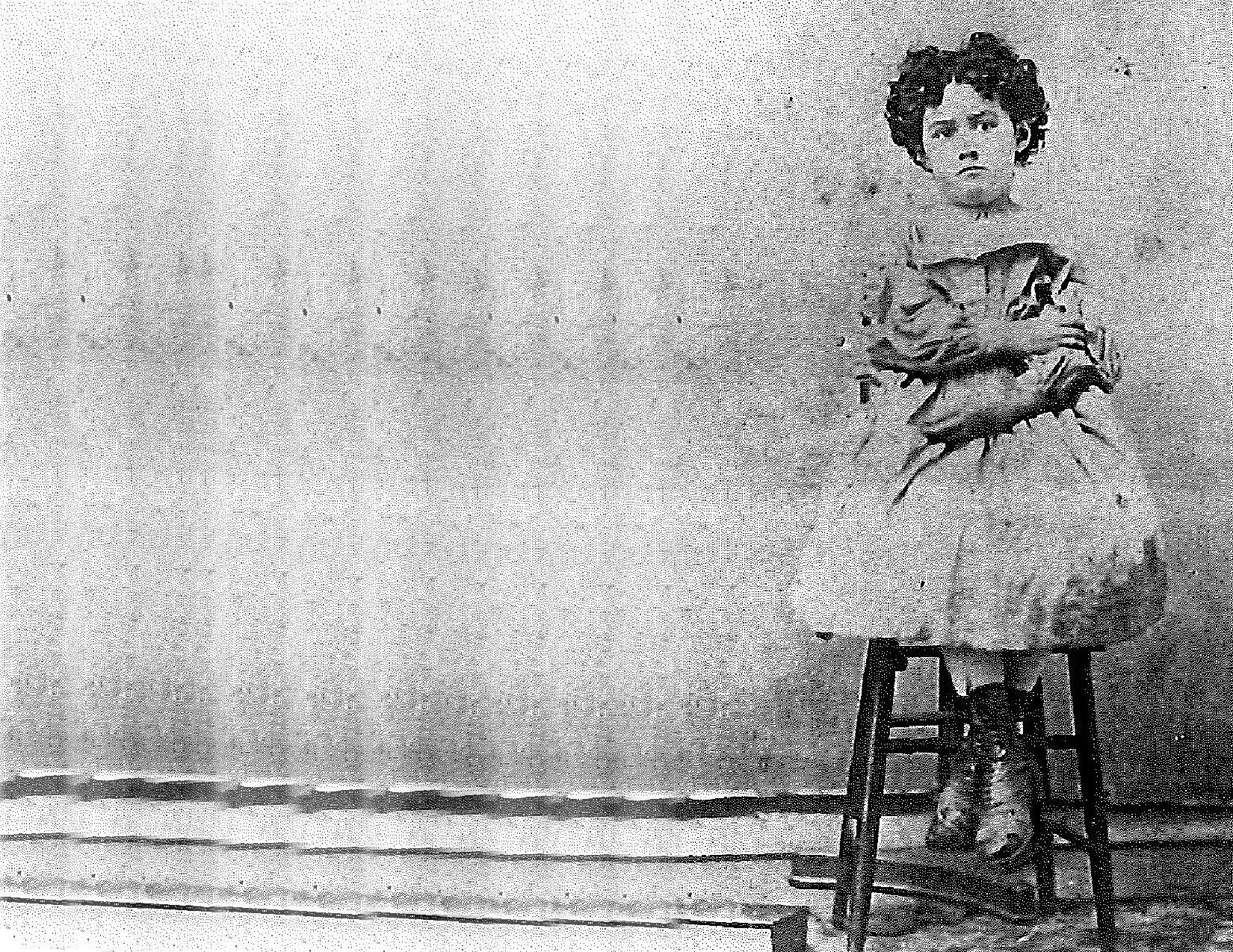 Life — Minerva Parker Nichols