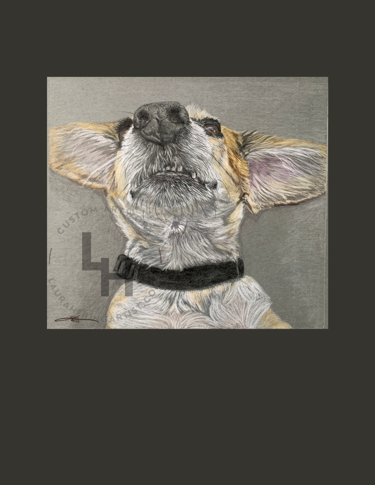 Color Pencil Portraits — Laura Hering