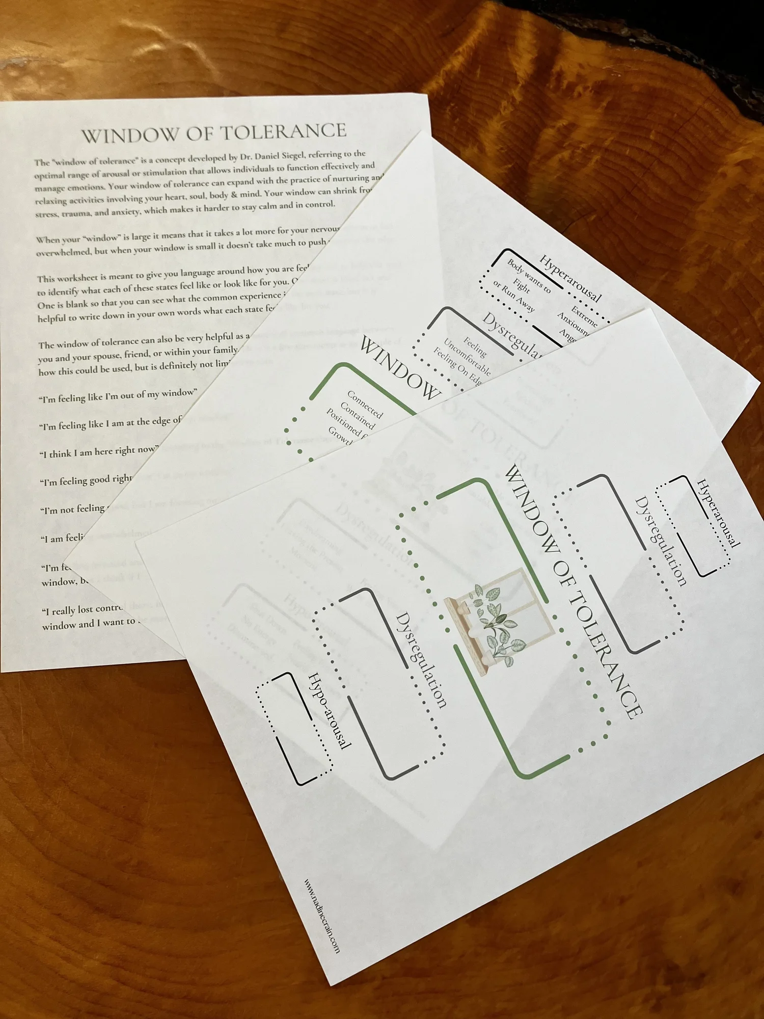 The Window of Tolerance: A Tool for Emotional Regulation (& FREE ...