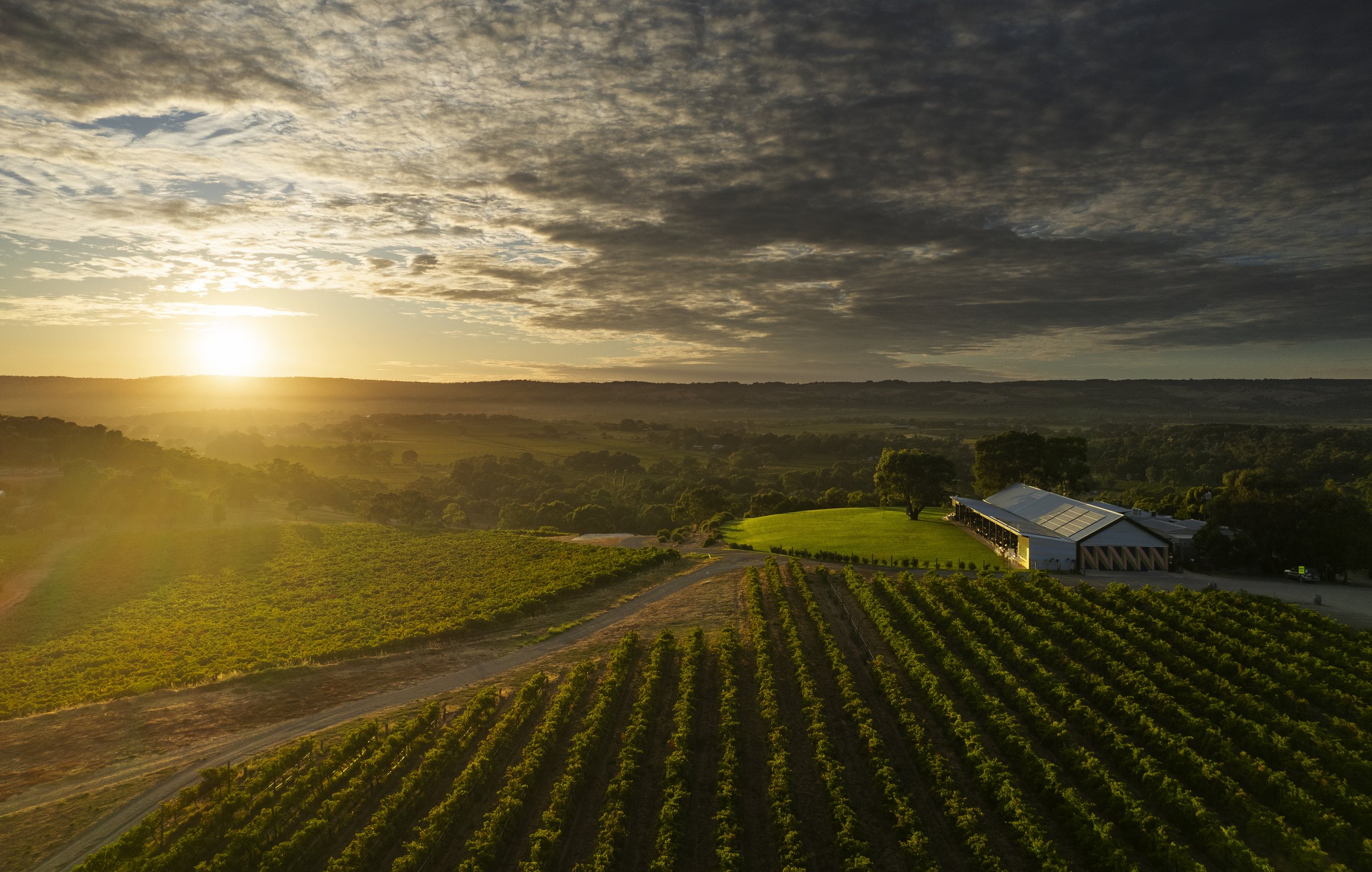 Local Offers - Chalk Hill Wines — Field Street Cottages