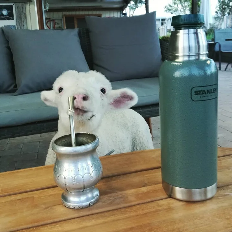 Braidwood Farm Stay & Cafe