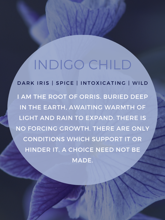 Indigo Children