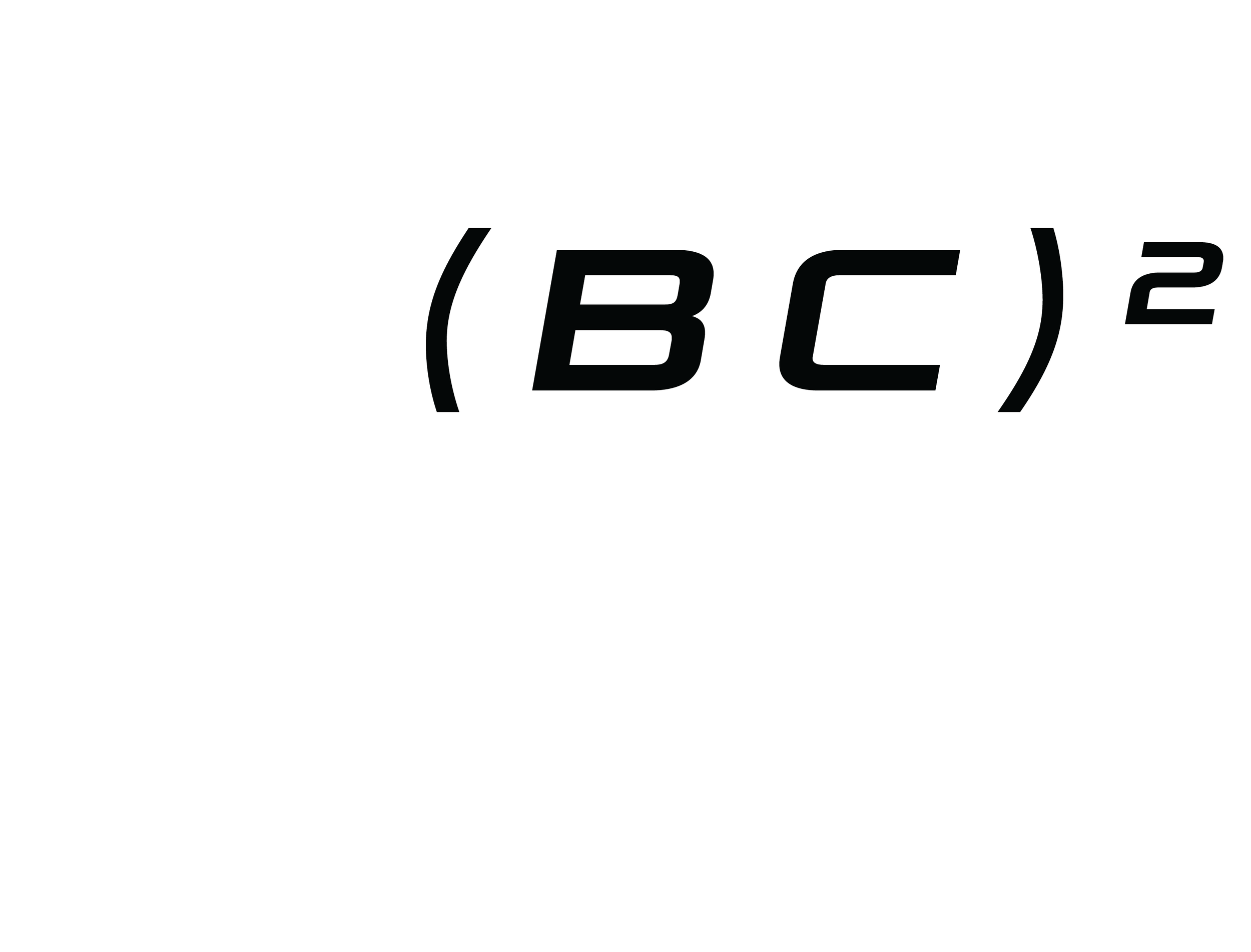 Bayou City Baseball Company / Bayou City Baseball Company