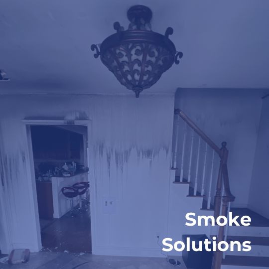 American Restoration Solutions - Fire, Water, & Mold Damage Experts