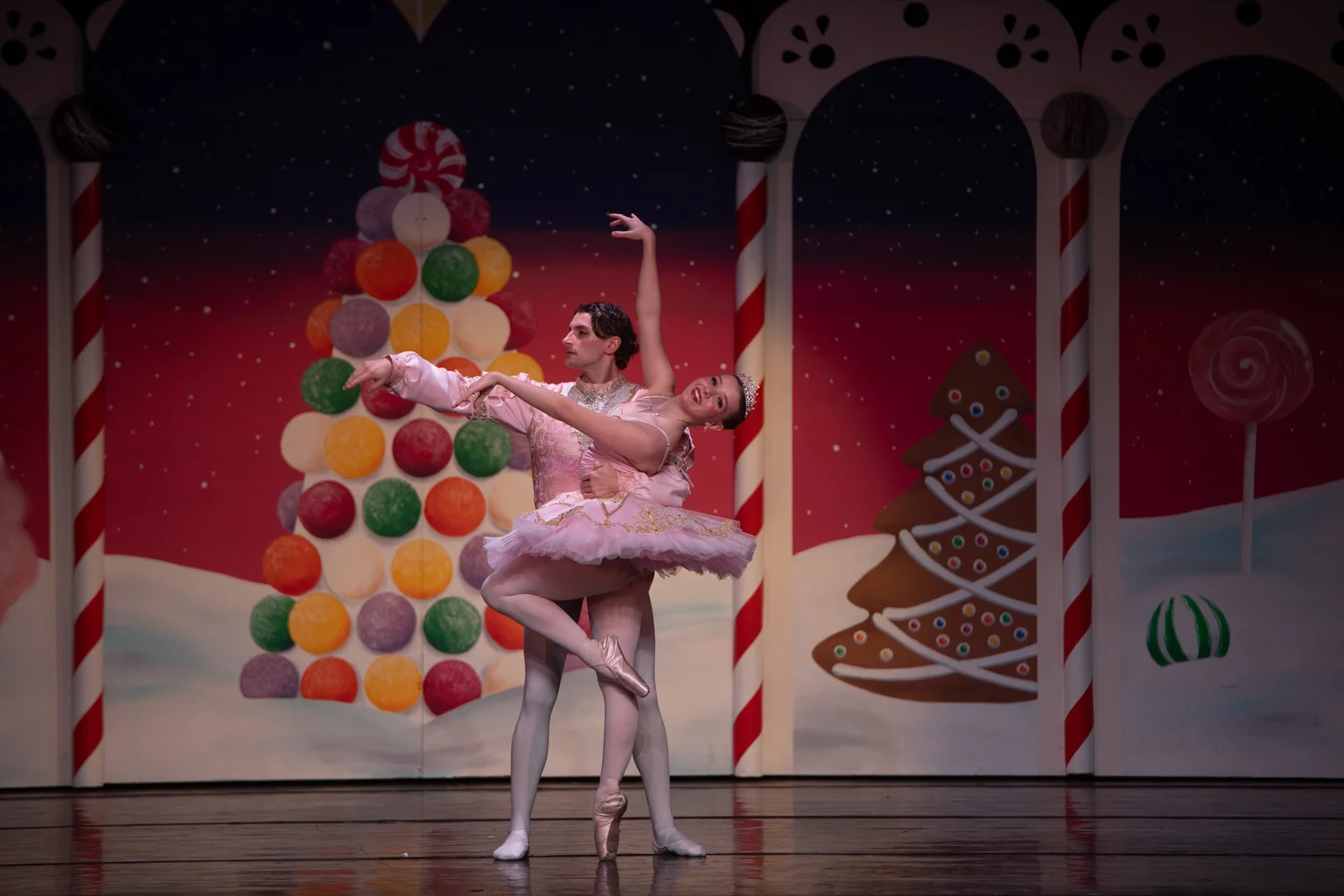 Upcoming Performances and Events — Northwest Michigan Ballet Theatre