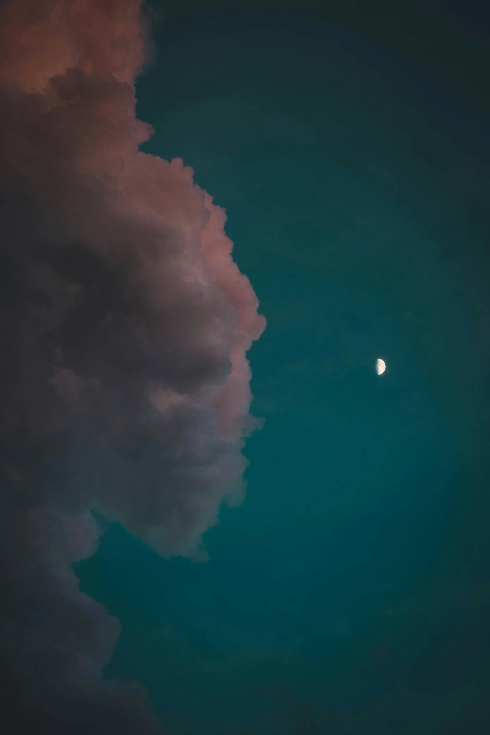 Molly Kelene Designs