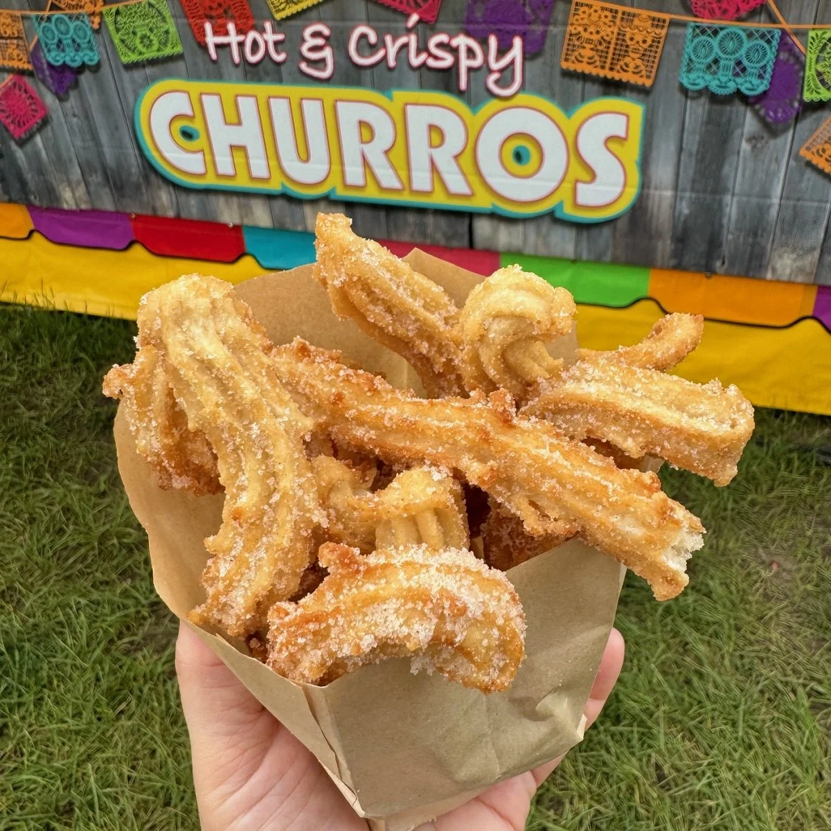 Vegan Eats at the 2024 MN State Fair — Bite-Sized Beet