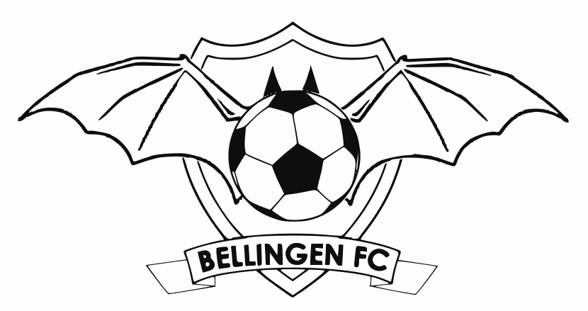 BELLINGEN FC
