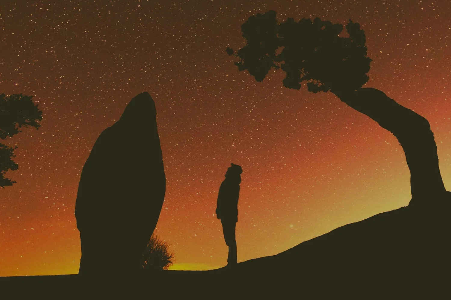 You are Nature - Understanding the Connections between Humans and ...