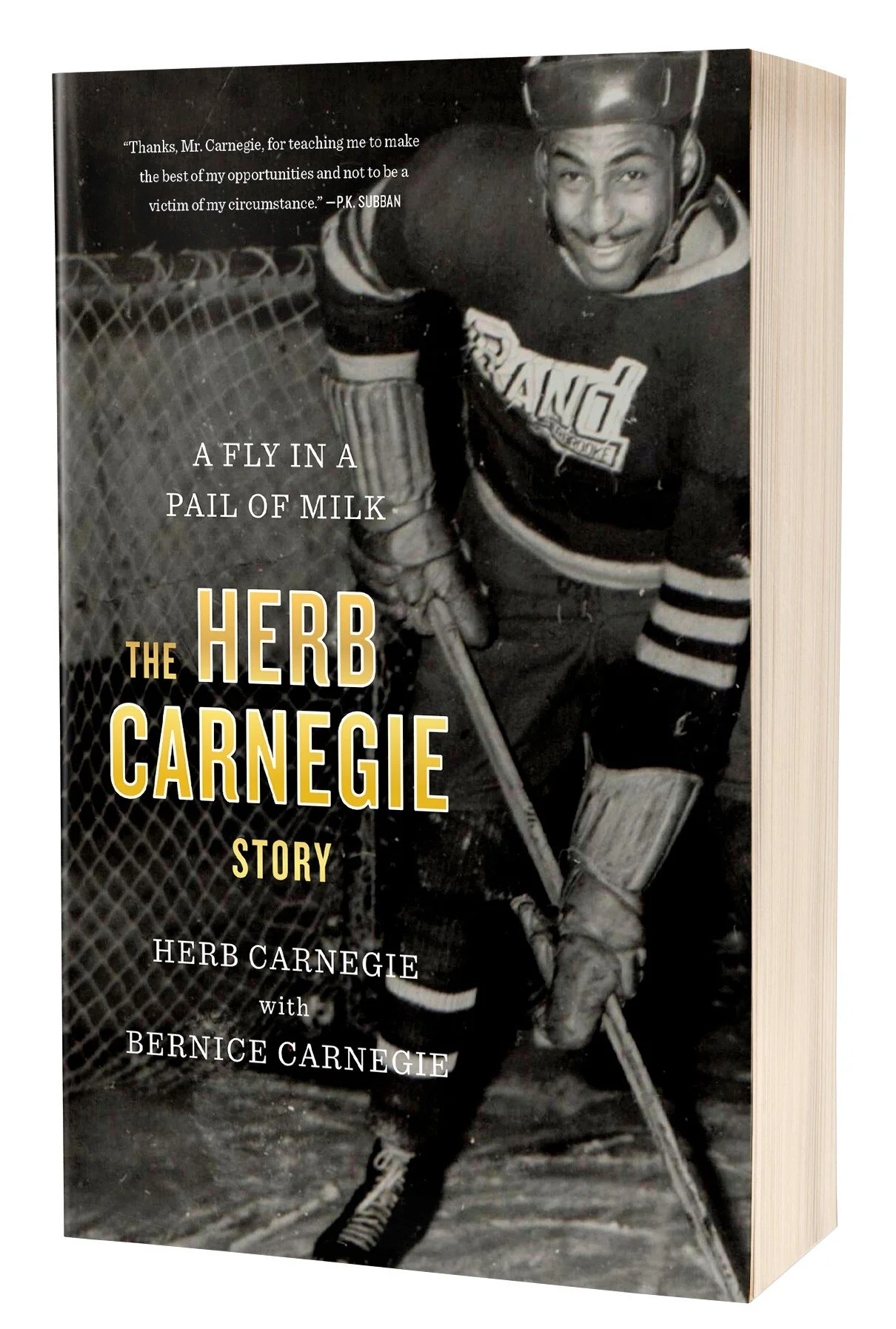 Get the Book — Our Family Legacy
