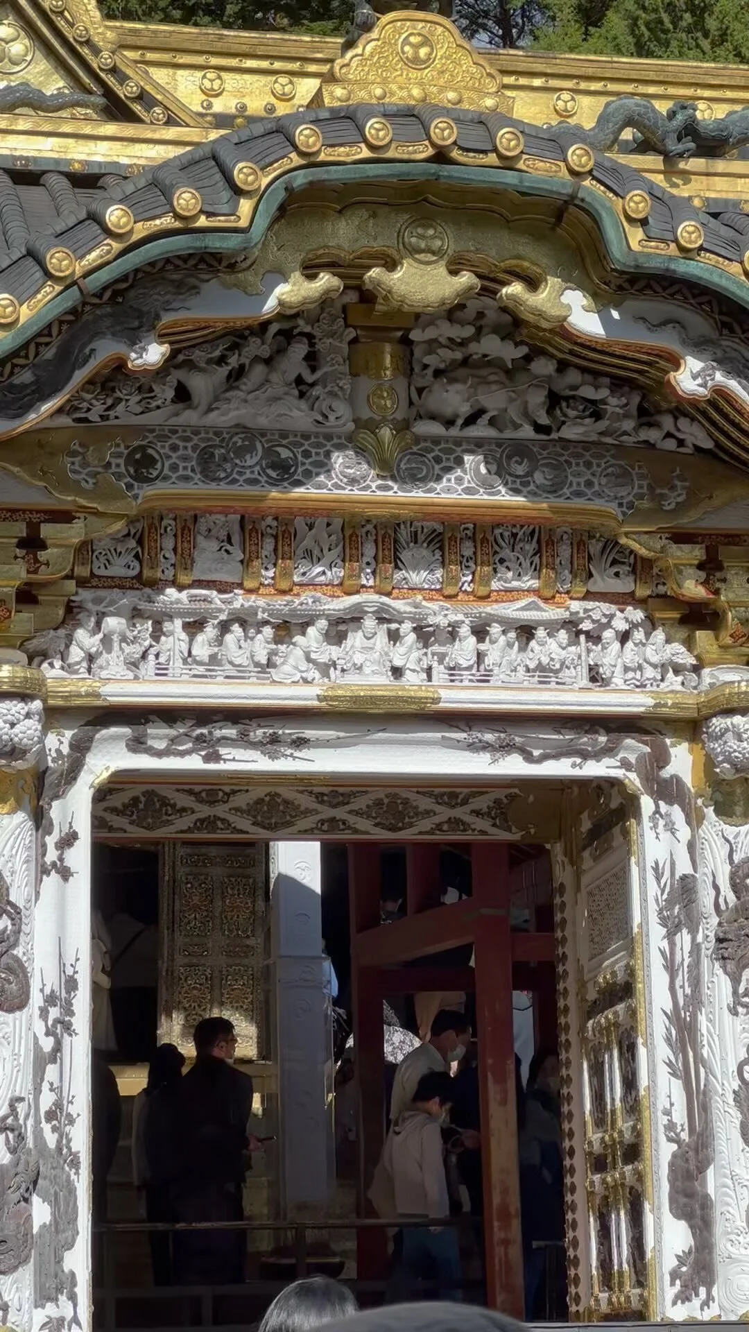 Janelle's Story — Janelle Wellons