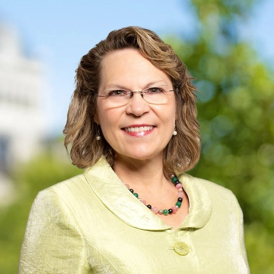 Professionals — Sturgill Turner