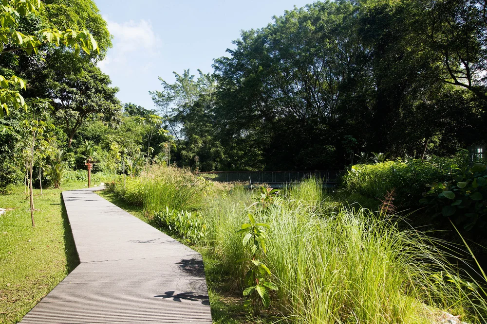 Windsor Nature Park — Zarch Collaboratives Architectural Studio