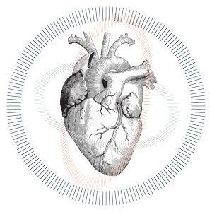 Technology — CardioSignal