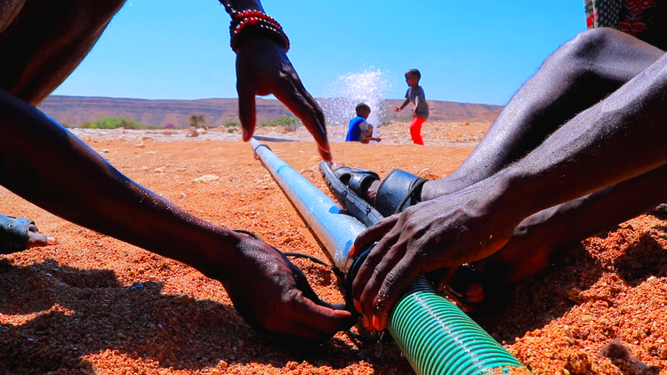 What We Do — Shaqodoon Organization