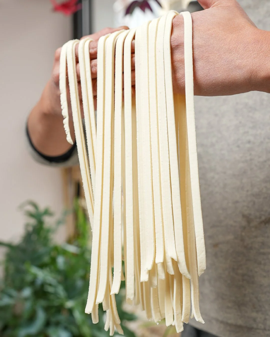 udon menu — yame numnums udon & sushi