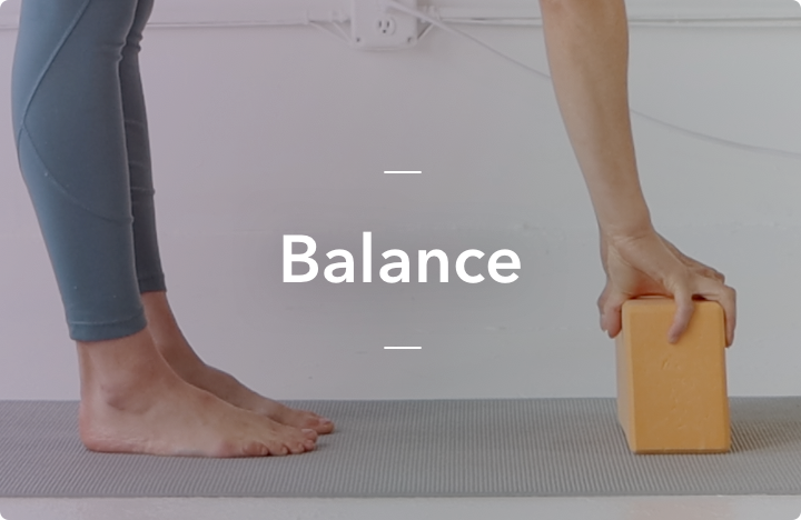 Balanced Skaters - Expert off-ice training programs