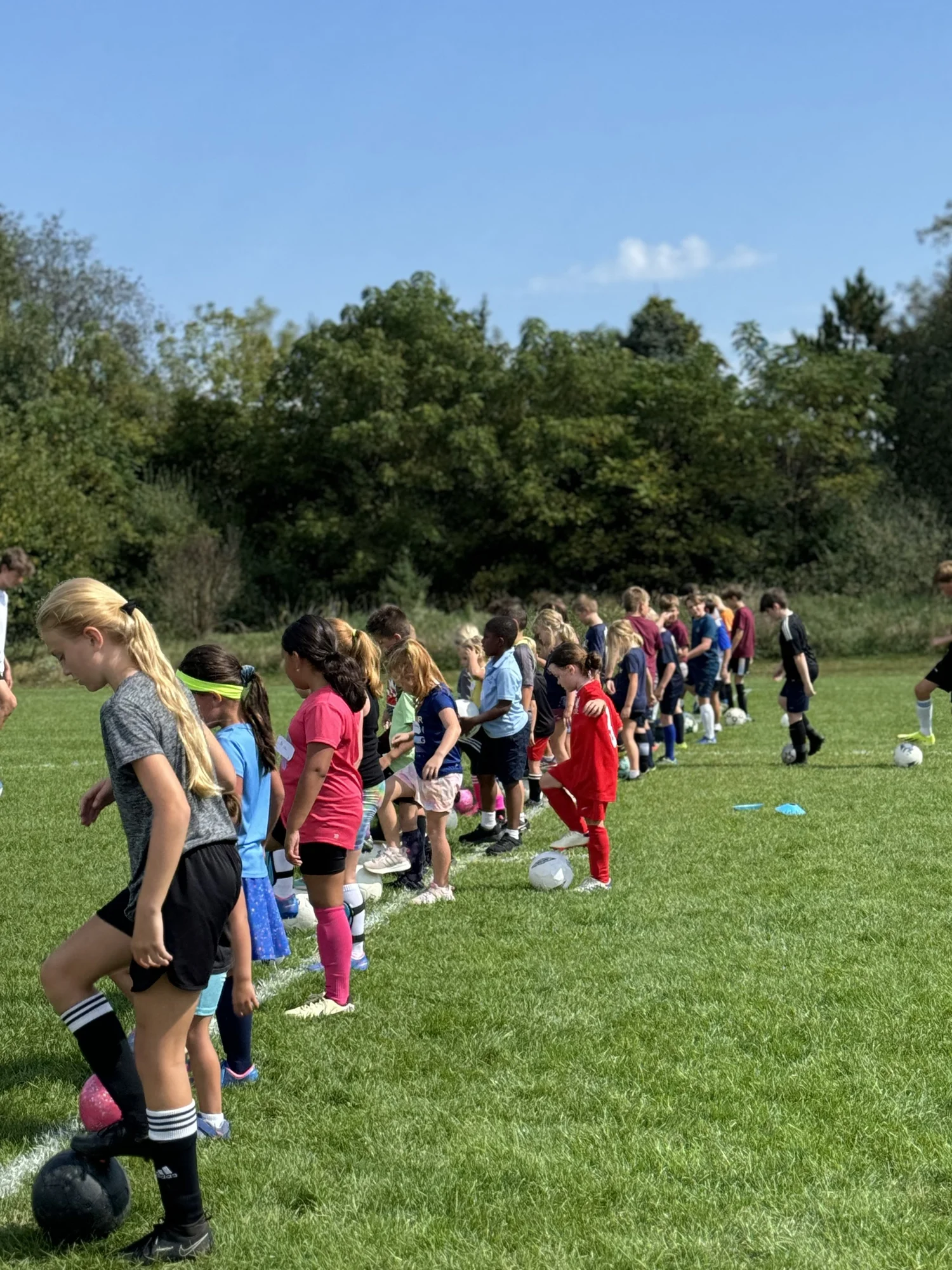 What Is SEP? — Charyl Stockwell Academy District