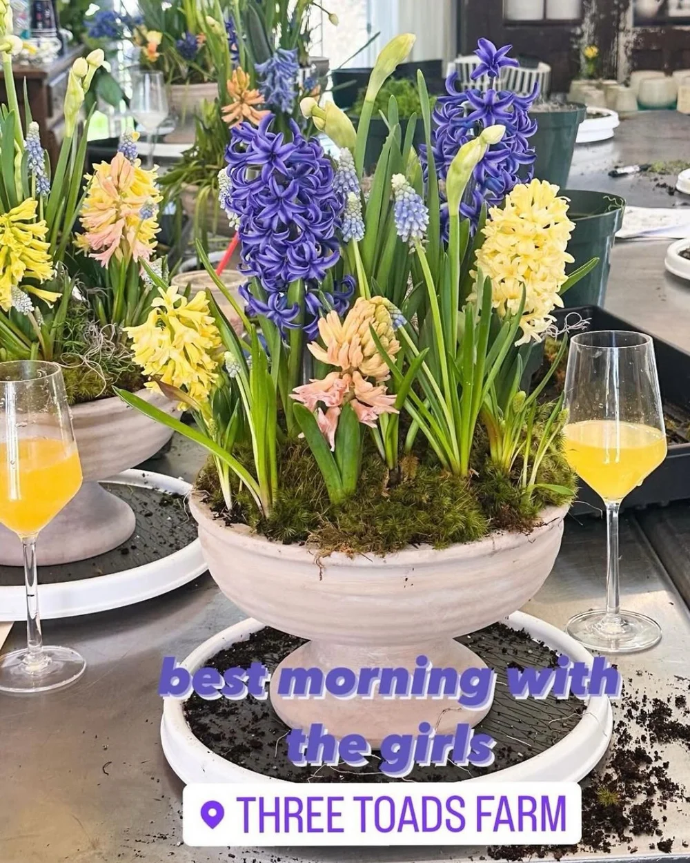 Store 1 — Three Toads Farm