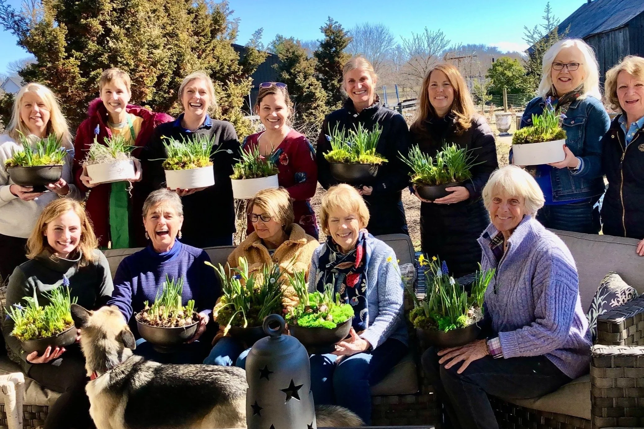 Store 1 — Three Toads Farm