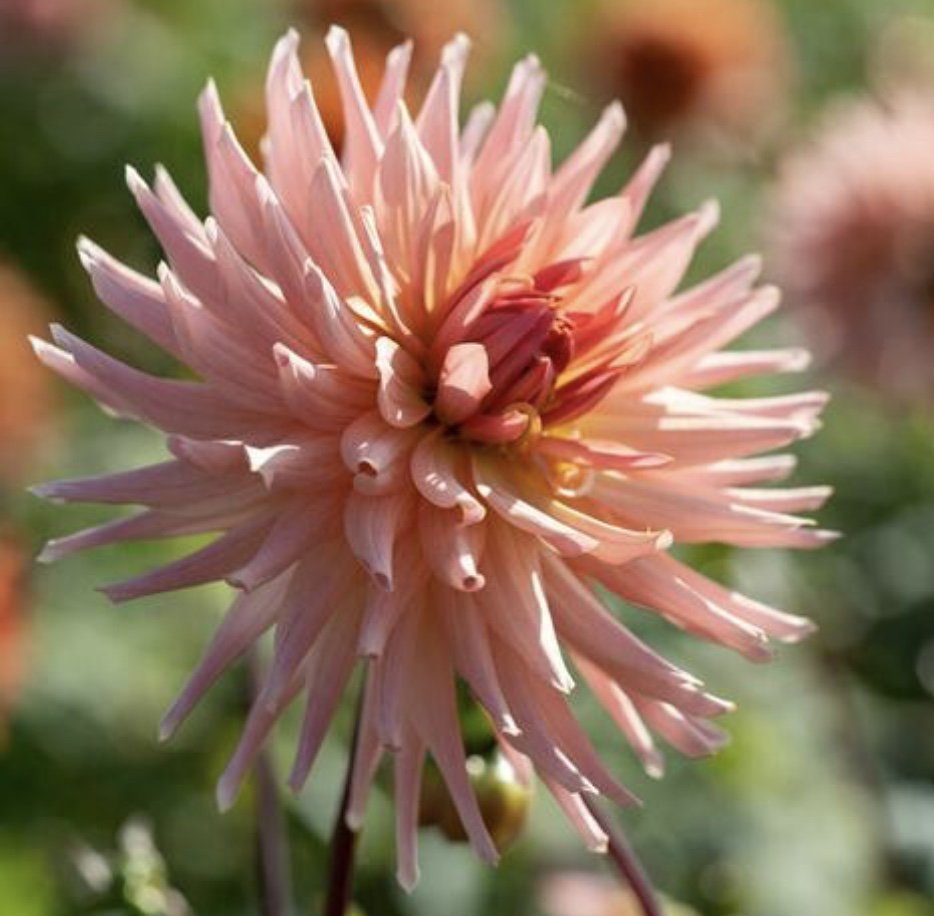 Store 1 — Three Toads Farm