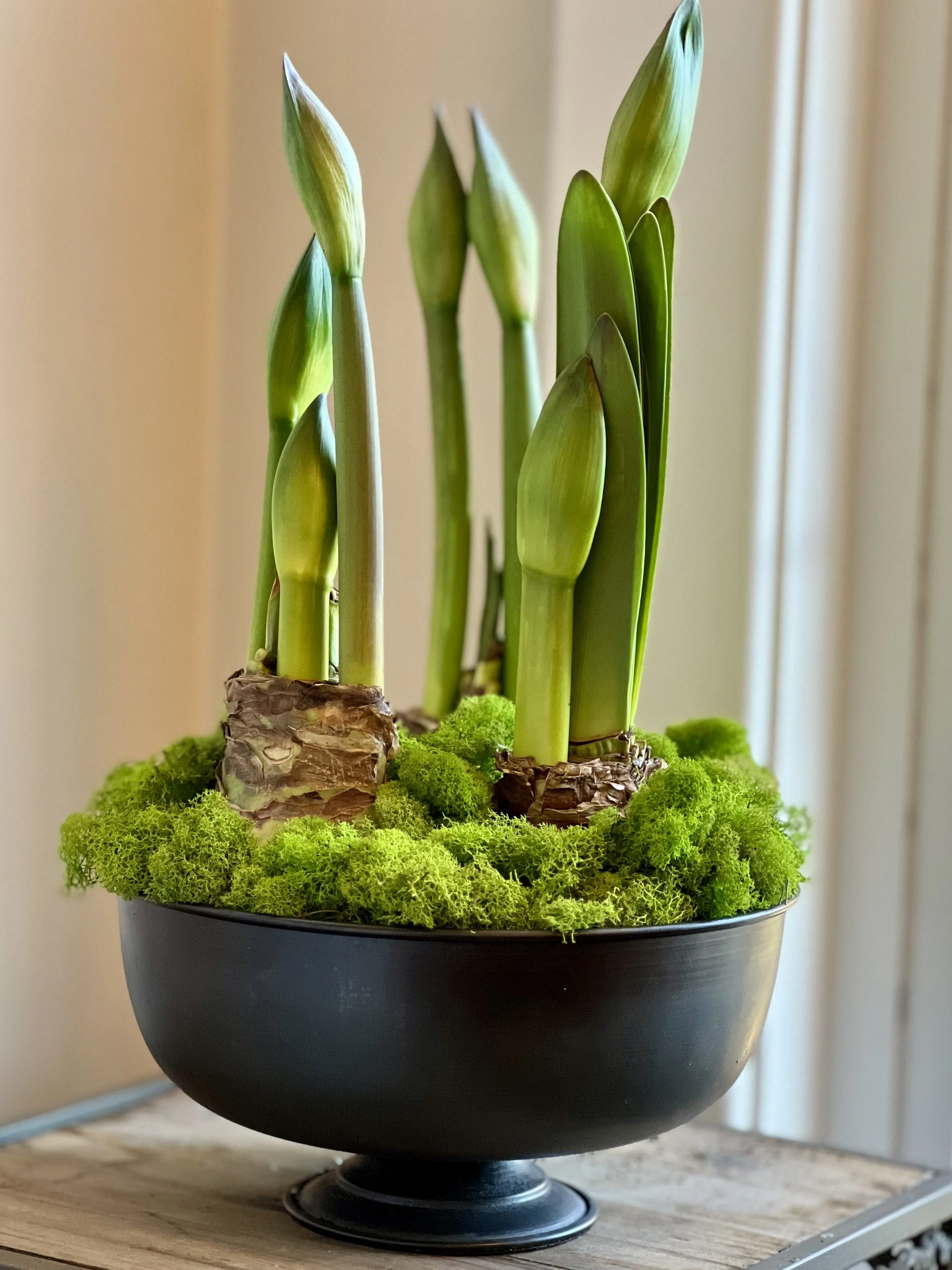 Store 1 — Three Toads Farm