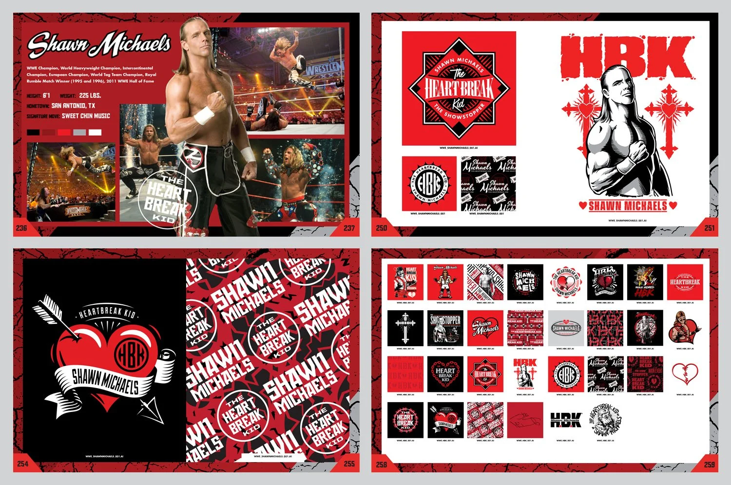 WWE — Lincoln Design Co.