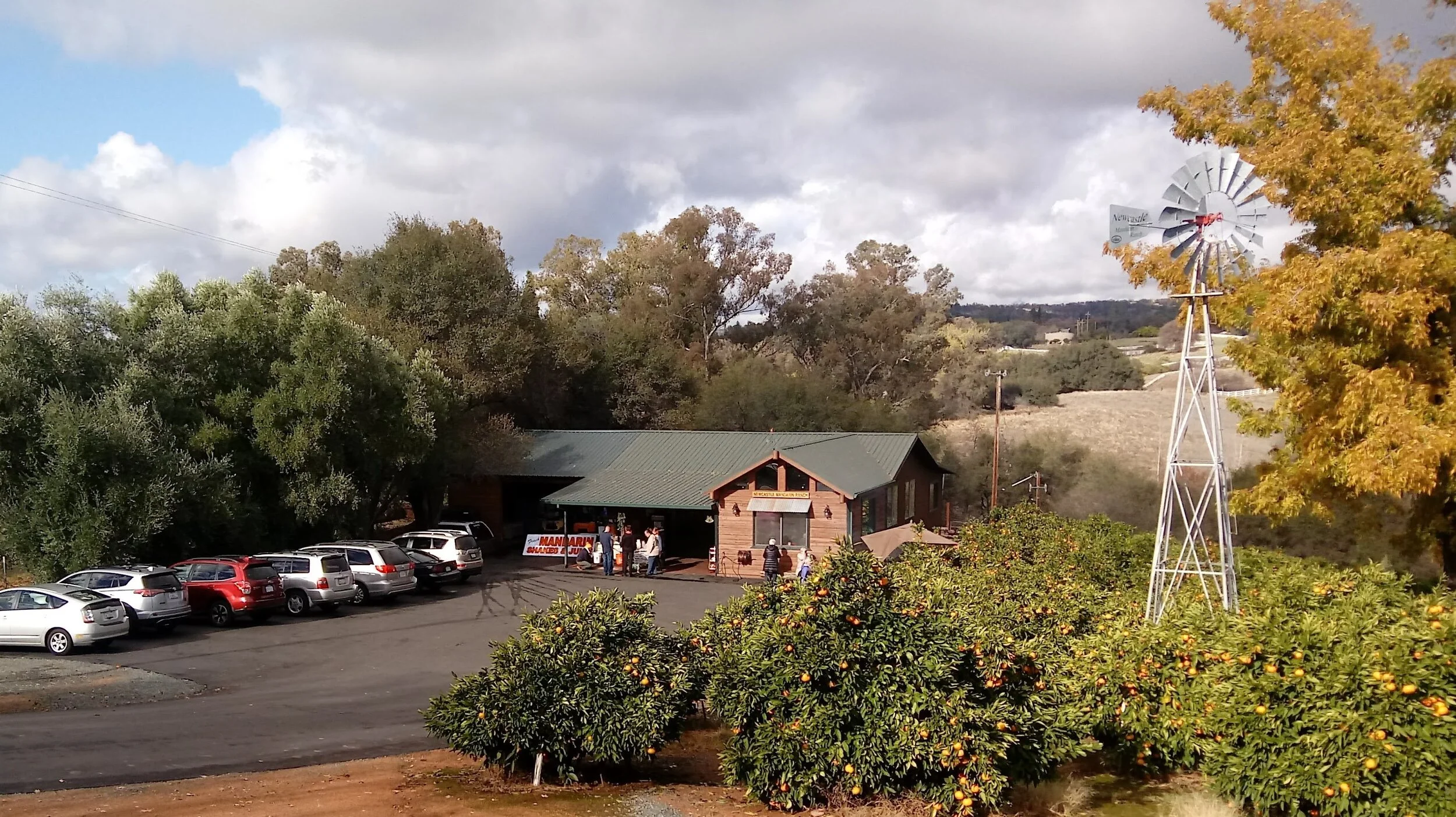 Newcastle Mandarin Ranch