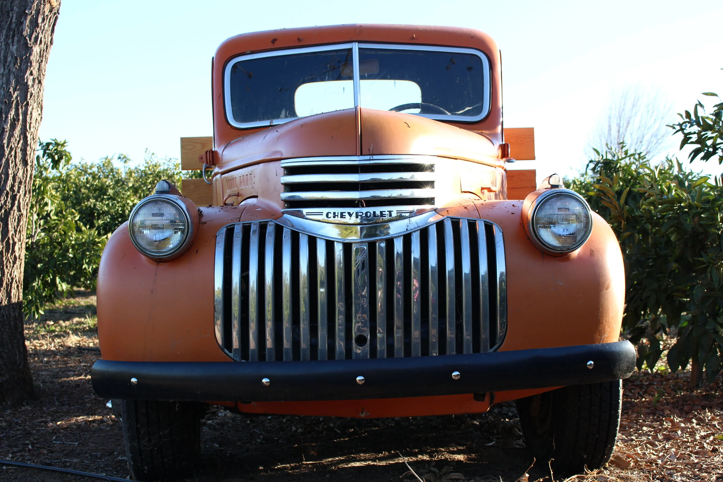 Newcastle Mandarin Ranch